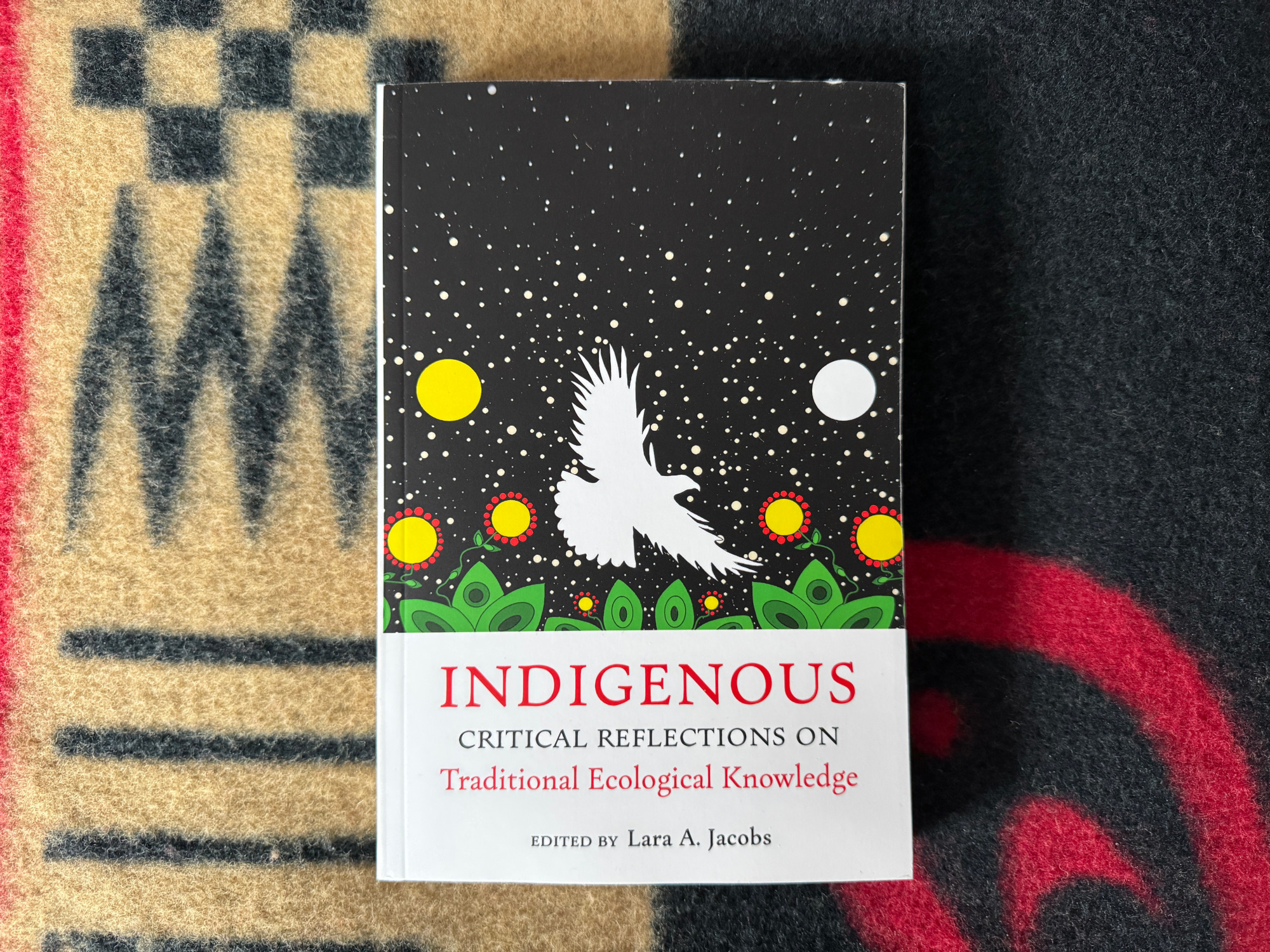 Indigenous Critical Reflections - TurtleIsland.blog